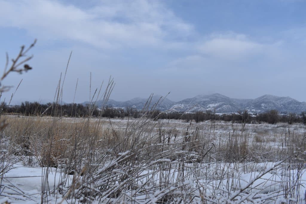 Contractor seeks to build gravel pit between Silt and Rifle ...